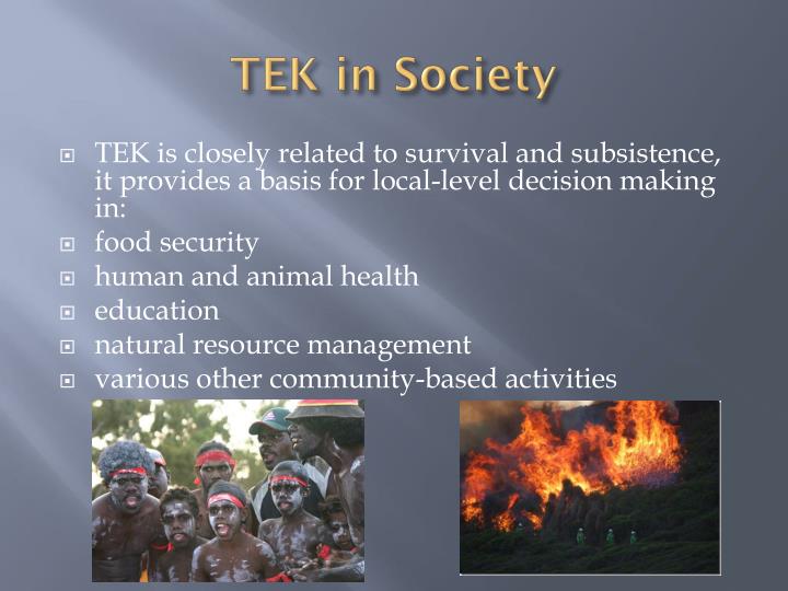 PPT - Traditional ECOLOGICAL KNOWLEDGE PowerPoint Presentation - ID:3023559