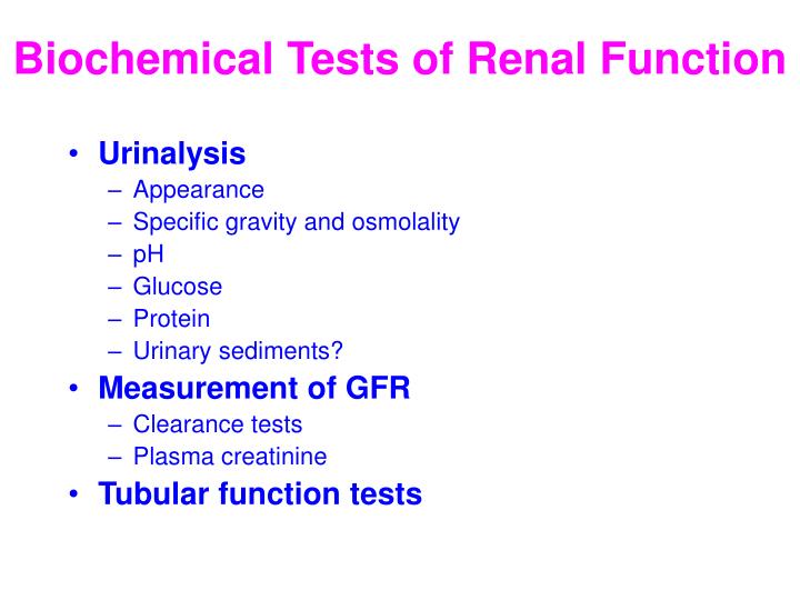 PPT - Kidney function test PowerPoint Presentation - ID:3024062