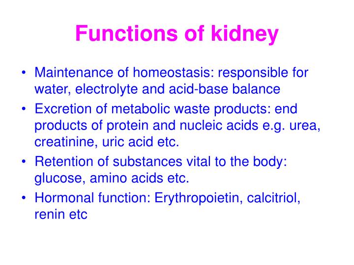PPT - Kidney function test PowerPoint Presentation - ID:3024062