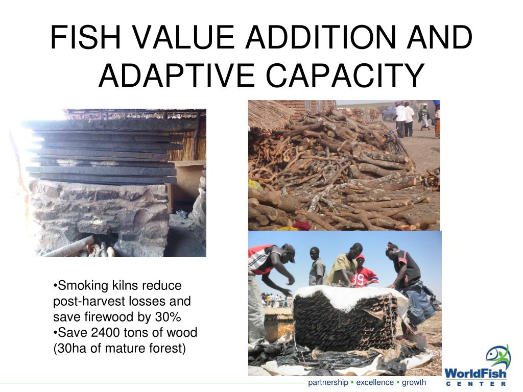 PPT - INLAND FISHERIES AND CLIMATE CHANGE PowerPoint Presentation, free ...