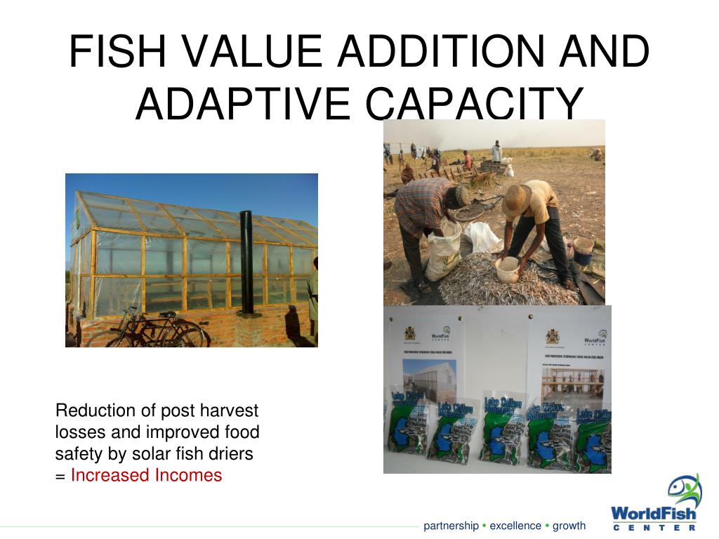 PPT - INLAND FISHERIES AND CLIMATE CHANGE PowerPoint Presentation, free ...