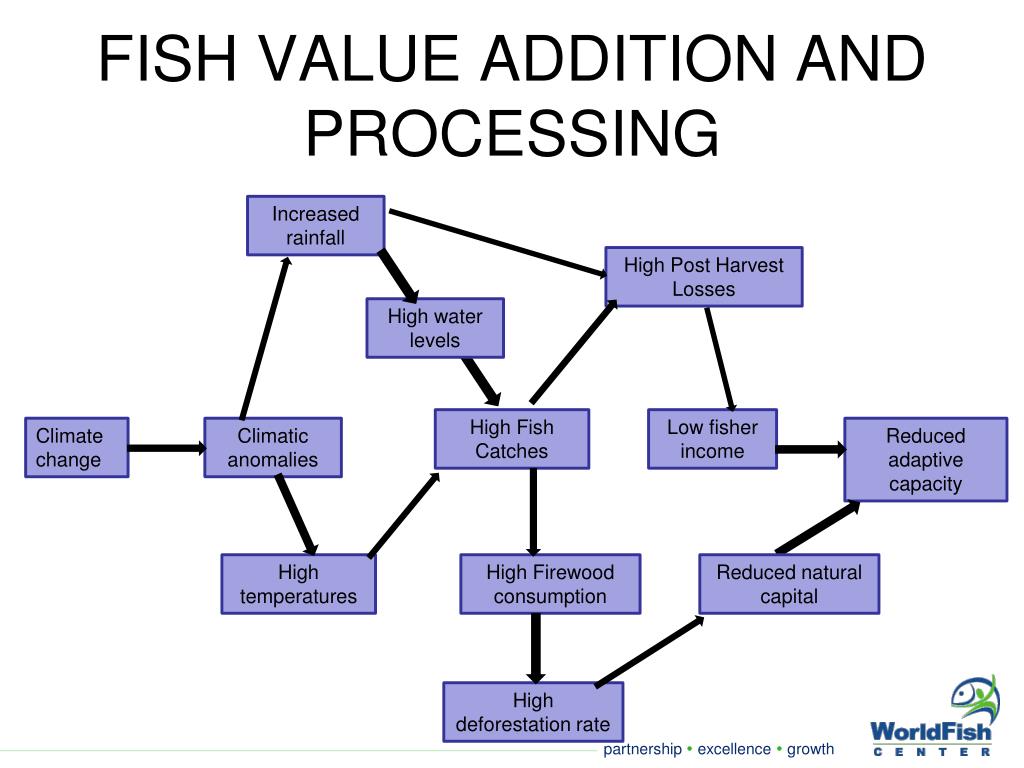 PPT - INLAND FISHERIES AND CLIMATE CHANGE PowerPoint Presentation, free ...