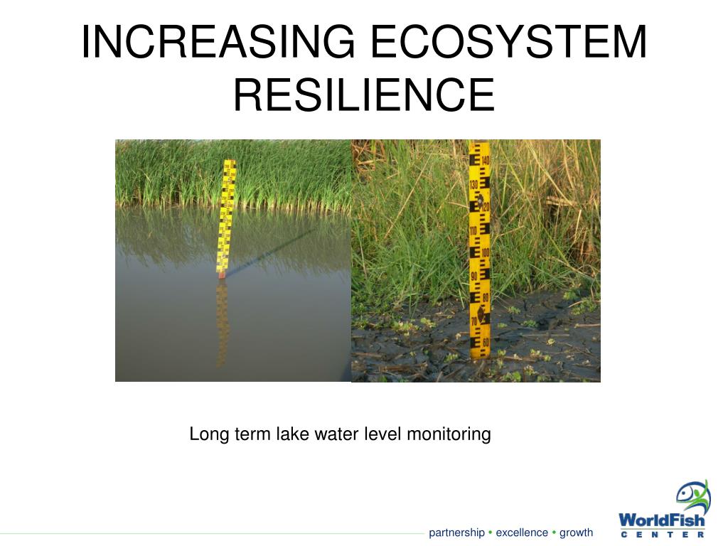 PPT - INLAND FISHERIES AND CLIMATE CHANGE PowerPoint Presentation, free ...