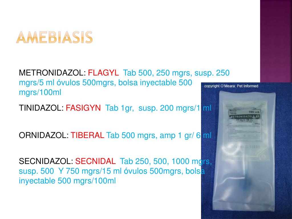 PPT - MEDICAMENTOS EN MICOLOGIA (HONGOS) PowerPoint Presentation, free ...