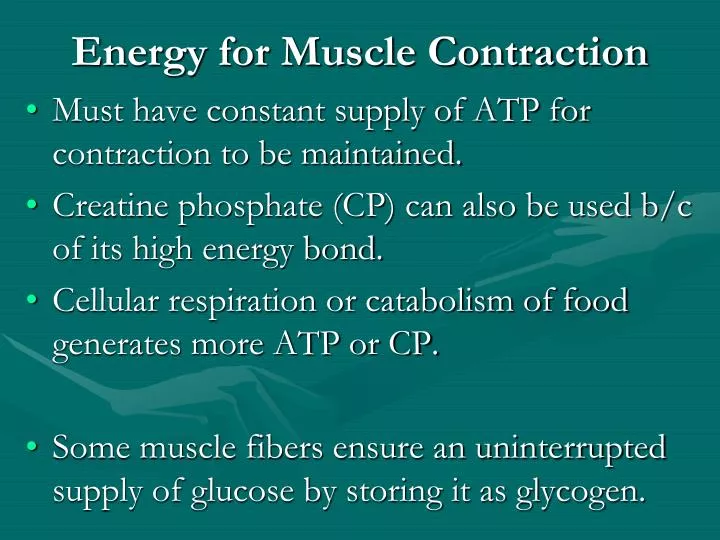 PPT - Energy for Muscle Contraction PowerPoint Presentation, free ...
