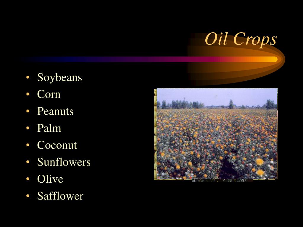 PPT - The Role of Cultivated Plants in the Living World PowerPoint ...