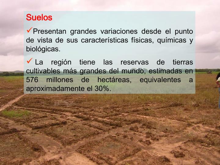 PPT - Manejo Sustentable de los Recursos Naturales (Suelos, Agua y ...