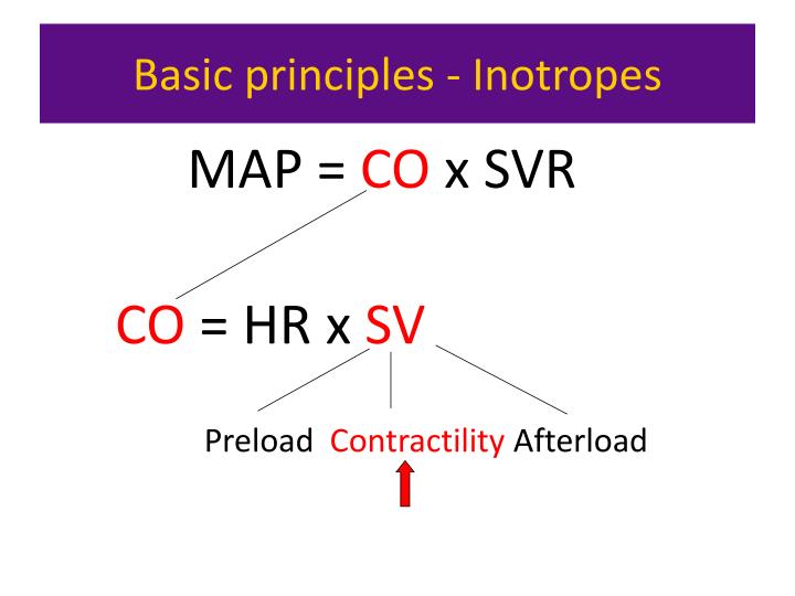 Ppt Inotropes And Vasopressors Powerpoint Presentation Id 3027555