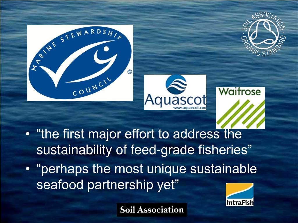 PPT - Organic Aquafeeds Ingredients and Ideals PowerPoint Presentation ...