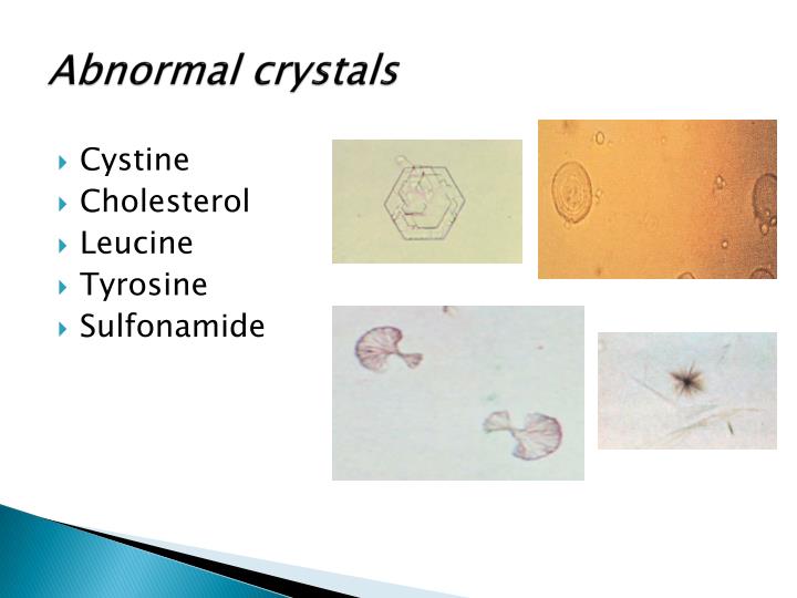 PPT - Investigations PowerPoint Presentation - ID:3028277