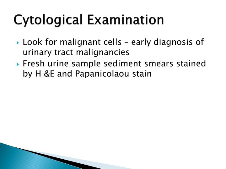 PPT - Investigations PowerPoint Presentation - ID:3028277