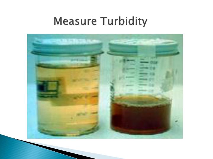 PPT - Investigations PowerPoint Presentation - ID:3028277