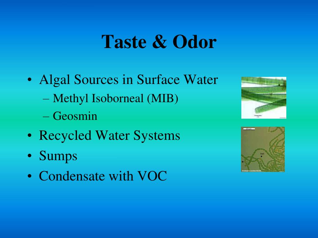 PPT - Ozone Water Treatment Application and Design American Society of ...