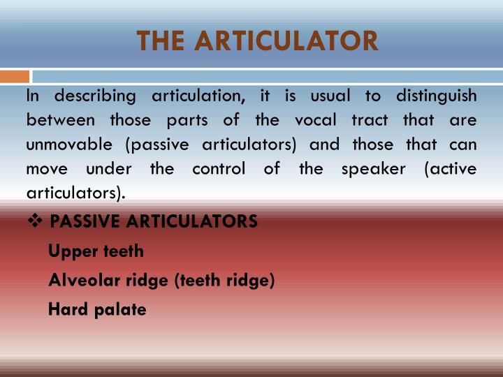 PPT - SPEECH ORGANS & ARTICULATION PowerPoint Presentation - ID:3028381