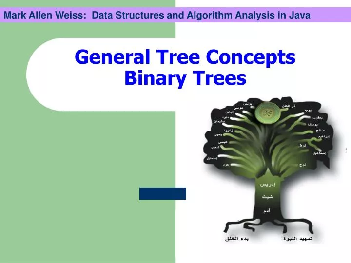 PPT - General Tree Concepts Binary Trees PowerPoint Presentation, free ...