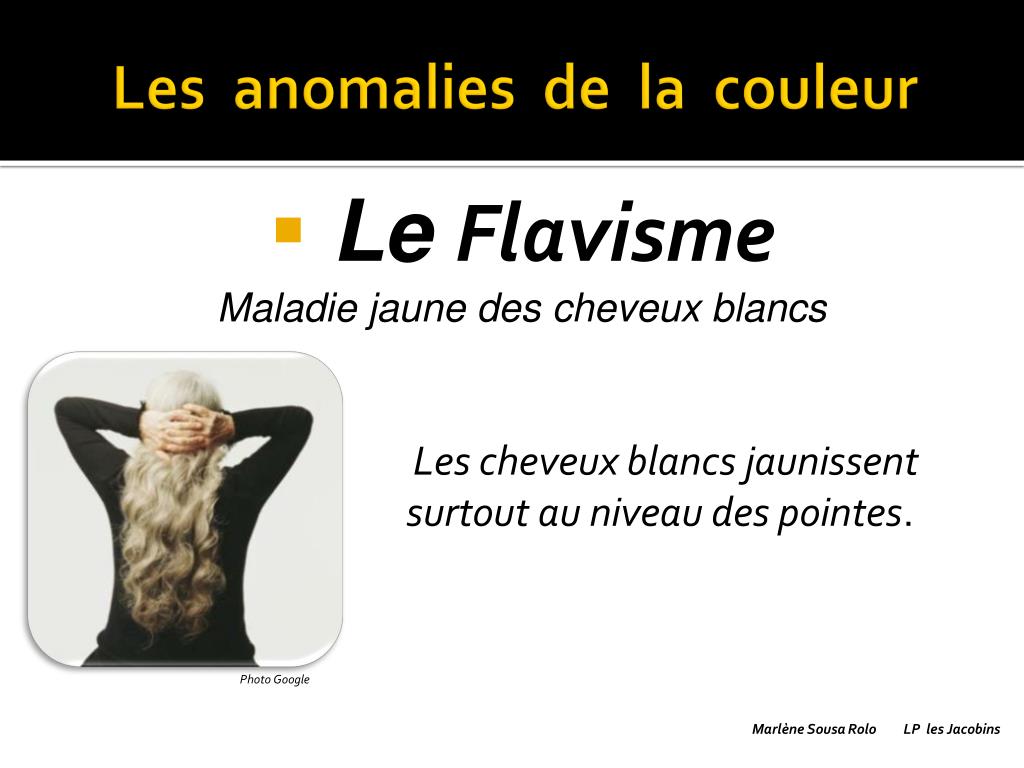 PPT - ANOMALIES ET AFFECTIONS DU CHEVEU ET DU CUIR CHEVELU PowerPoint ...