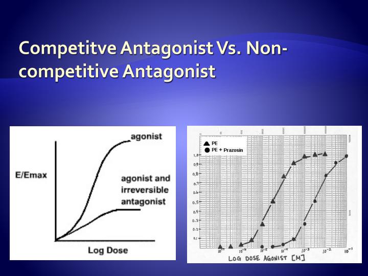 PPT - Adrenergic Blockers PowerPoint Presentation - ID:3028811