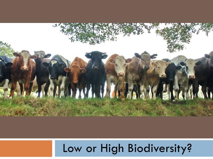 PPT - Biodiversity and Ecosystem Stability PowerPoint Presentation - ID ...