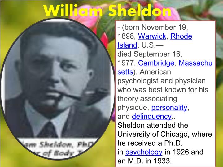 PPT - BODY TYPES PowerPoint Presentation - ID:3029284