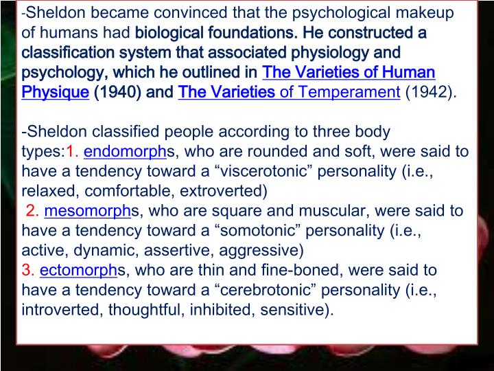 PPT - BODY TYPES PowerPoint Presentation - ID:3029284