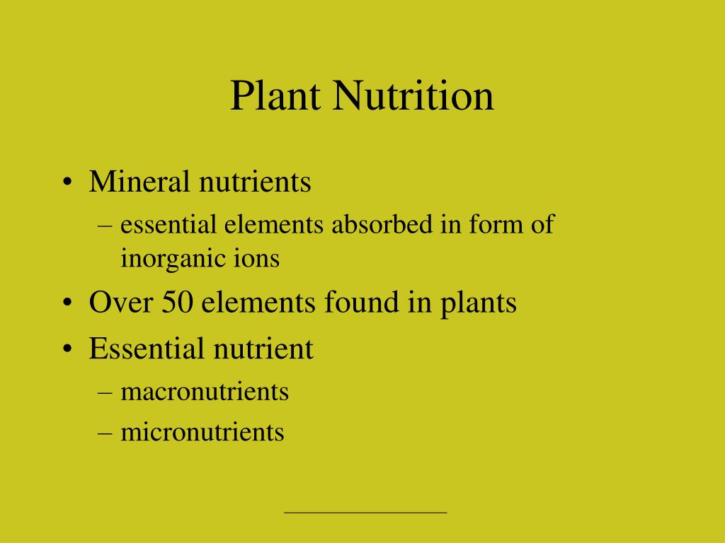 PPT - Transport in Plants and Plant Nutrition PowerPoint Presentation, free download - ID:3029565