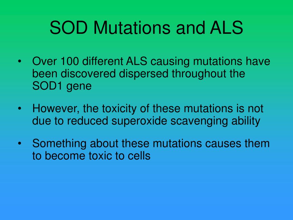 PPT - By Thomas Lew Mentor: Dr. Joe Beckman Linus Pauling Institute ...