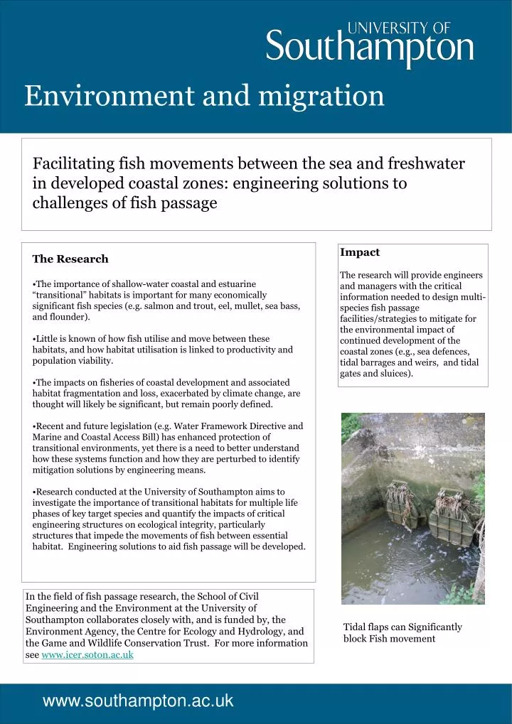 PPT - Environment and migration PowerPoint Presentation, free download ...