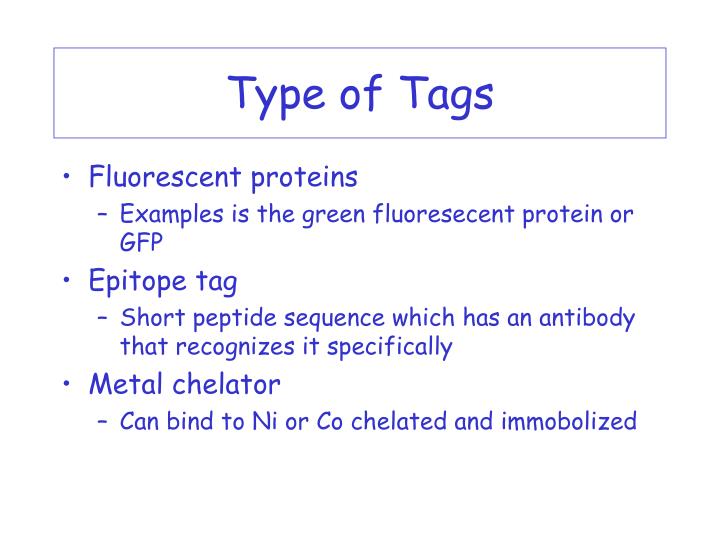 PPT - Molecular Cloning: Construction of a recombinant DNA PowerPoint ...