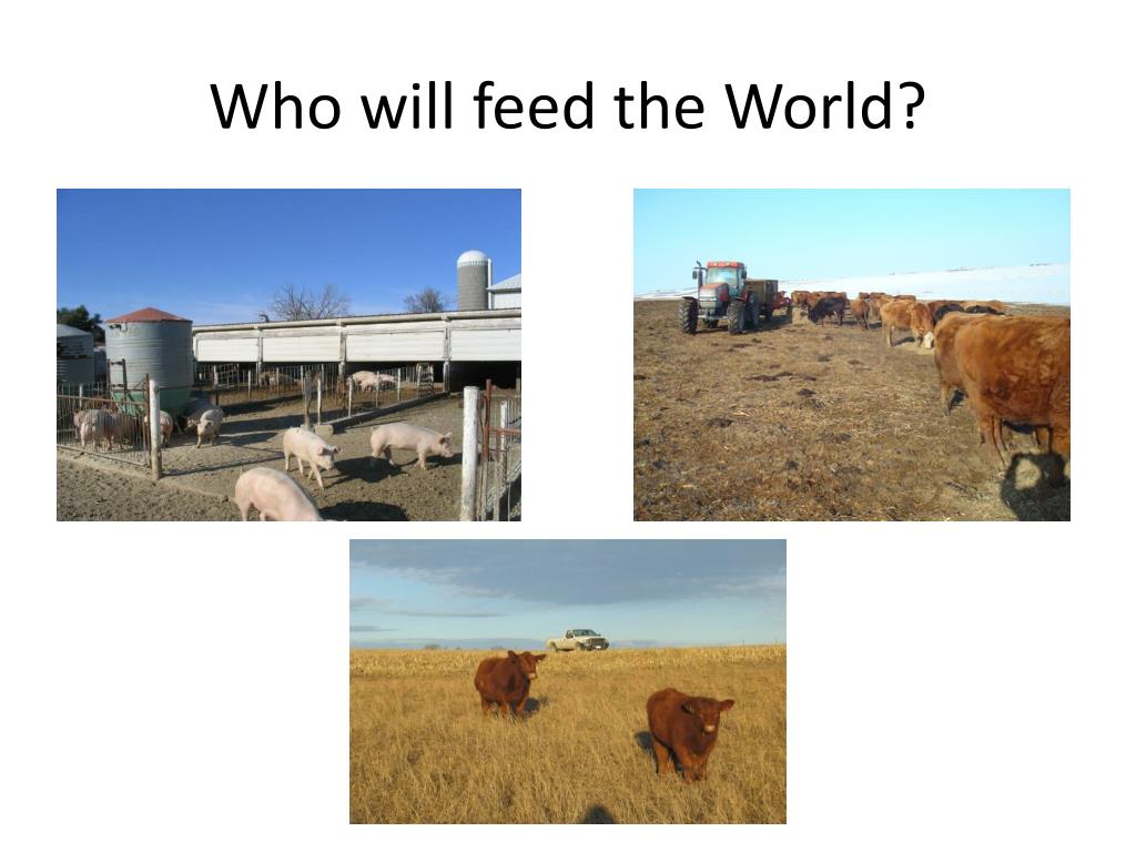 PPT - Toward Sustainable Agricultural Systems in the 21 st Century ...