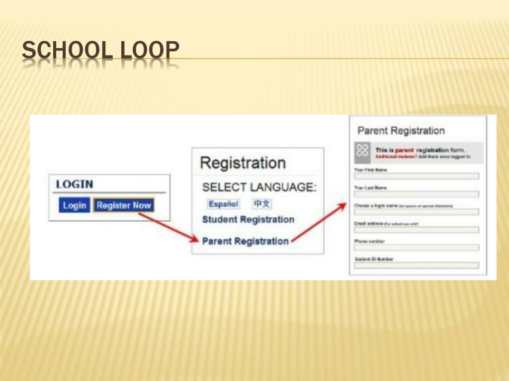 PPT - Welcome to Fifth Grade Back to School Night! Mrs. Rogowski Room ...