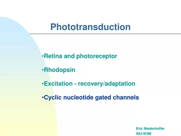 PPT - Phototransduction PowerPoint Presentation, free download - ID:3030692