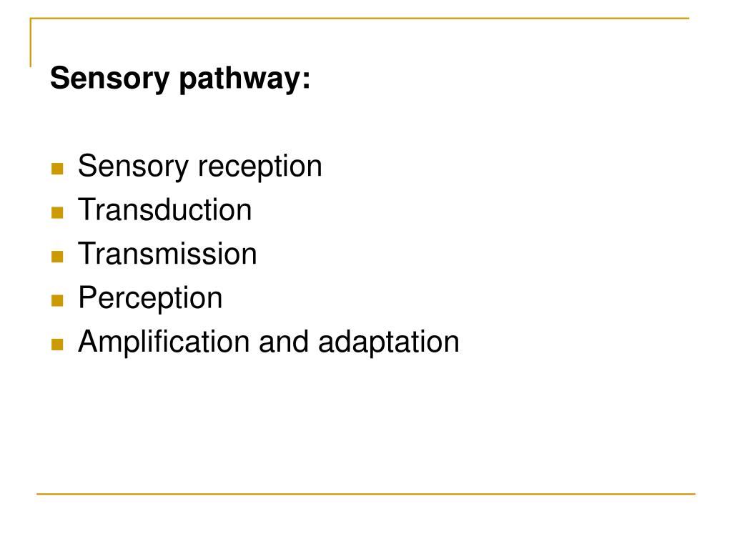 PPT - Sensory Receptors 8 th ed 50.1 to 50.4 7 th ed 49.1 to 49.4 ...