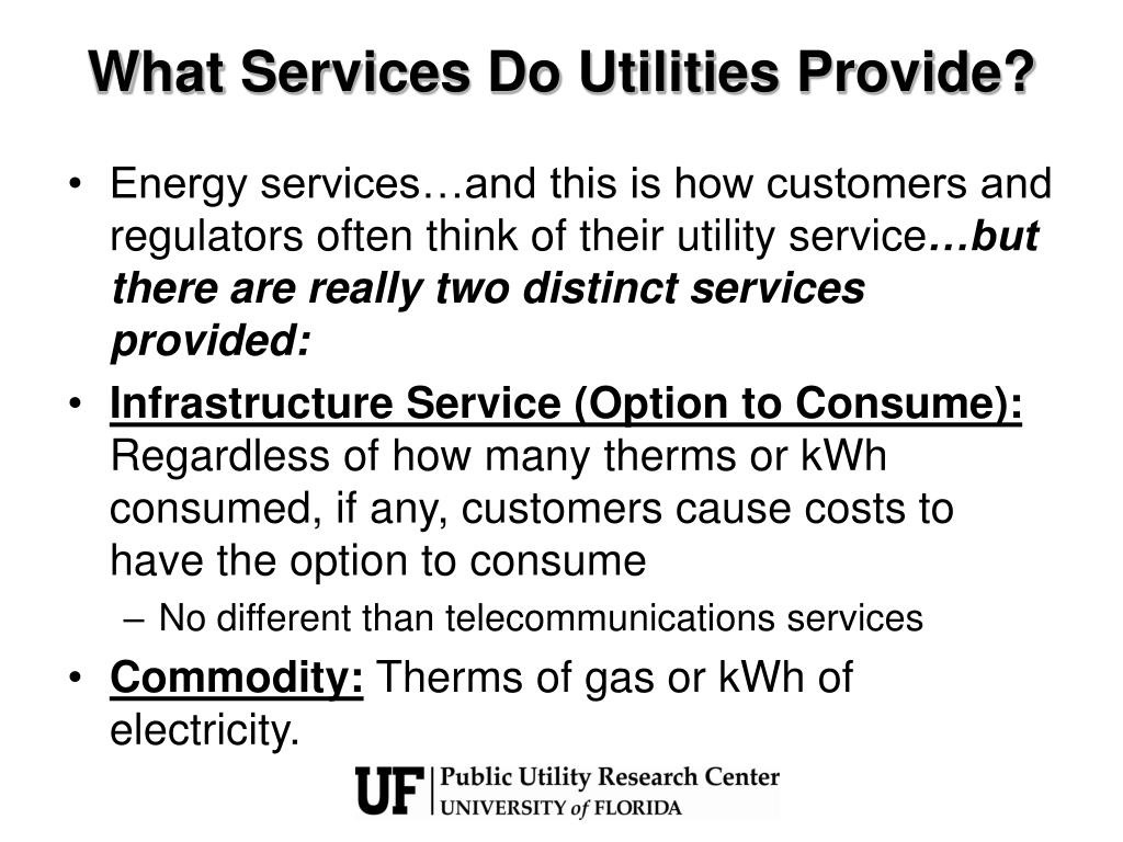 PPT - Paul M. Sotkiewicz, Ph.D. Director Energy Studies Public Utility ...