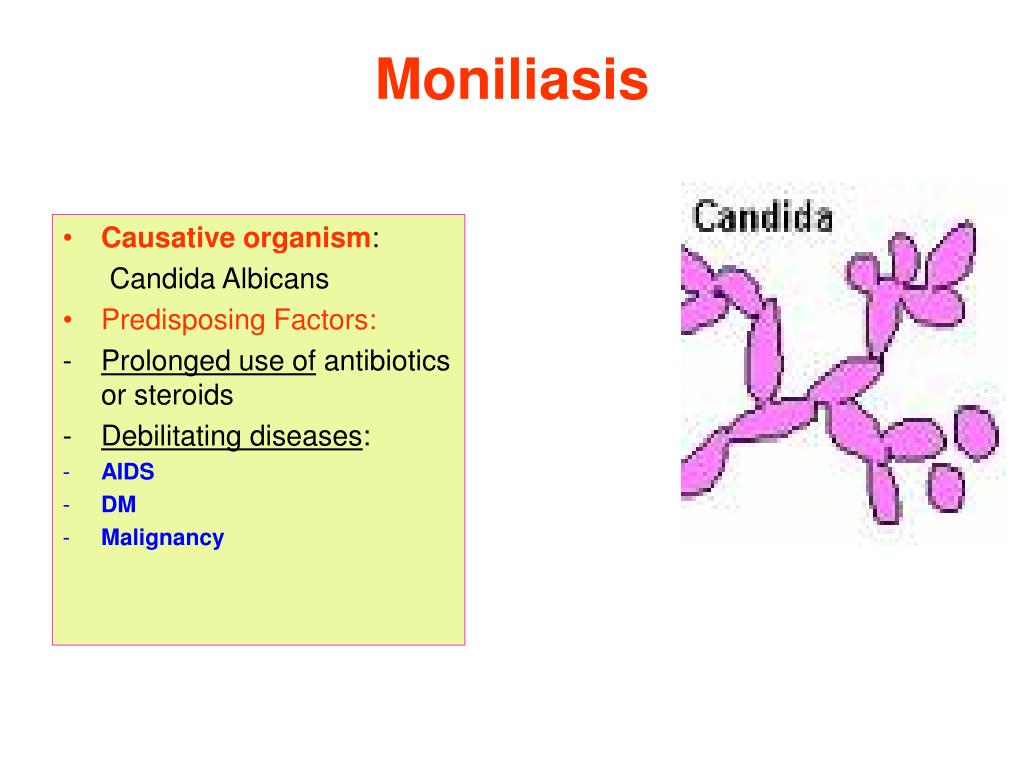 PPT - Acute Chronic Pharyngeal manifestations of systemic diseases ...