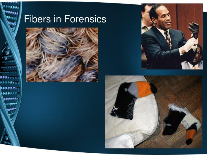 PPT - Trace Evidence PowerPoint Presentation - ID:3031606