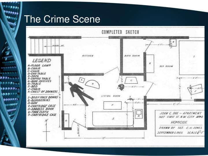 PPT - Trace Evidence PowerPoint Presentation - ID:3031606