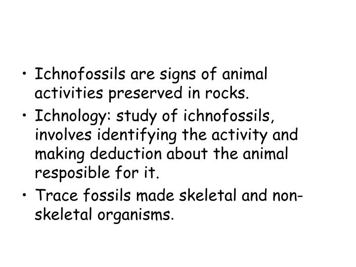 PPT - Ichnofossils – Trace fossils PowerPoint Presentation - ID:3031694