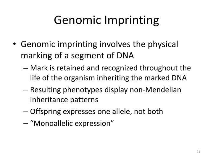 PPT - Non- Mendelian inheritance PowerPoint Presentation - ID:3031881