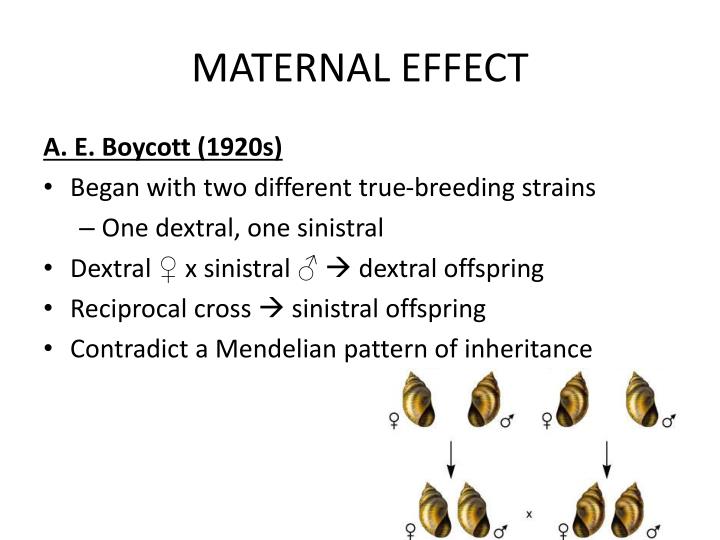 PPT - Non- Mendelian inheritance PowerPoint Presentation - ID:3031881
