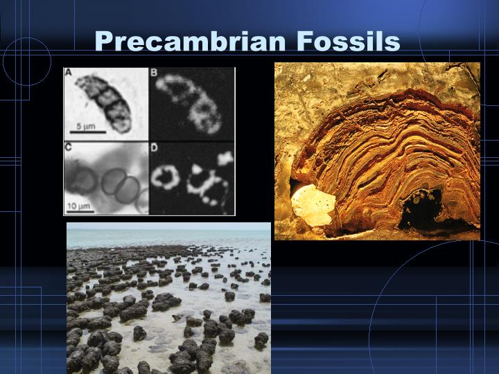 PPT - Precambrian Time: Vast and Puzzling PowerPoint Presentation - ID ...