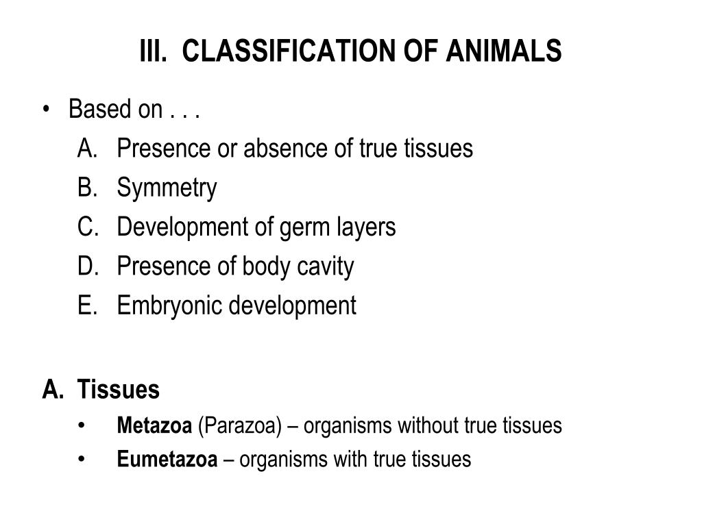 PPT - I. ORIGINS OF KINGDOM ANIMALIA PowerPoint Presentation, free ...