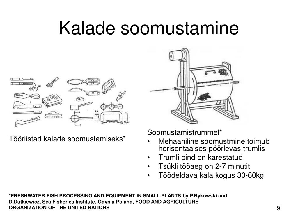 PPT - Kalatoodete tootmine väikeettevõttes PowerPoint Presentation ...