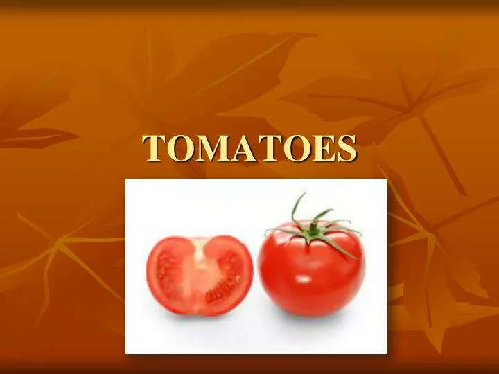 PPT - TOMATOES PowerPoint Presentation, free download - ID:3032801
