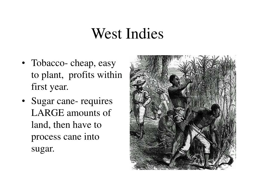 PPT - Colonial South: Virginia to Georgia PowerPoint Presentation, free ...