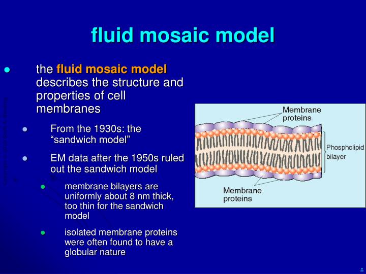Ppt Chapter 7 Membranes Powerpoint Presentation Id 3033528