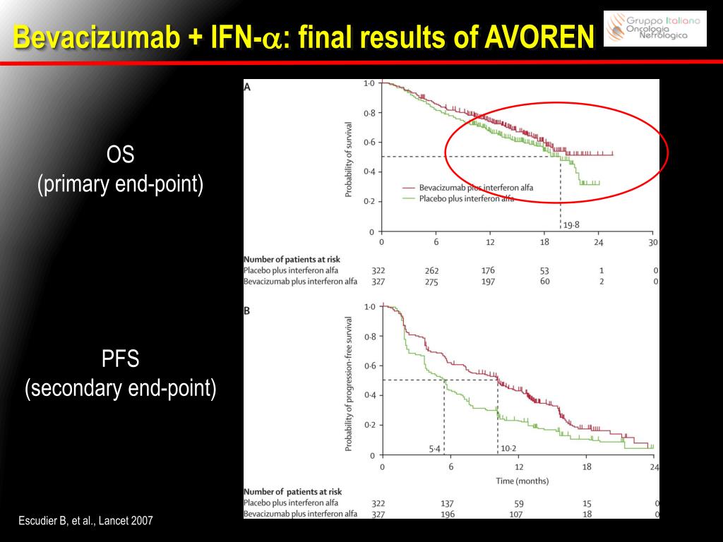PPT - Dr. Camillo Porta Medical Oncology, I.R.C.C.S. San Matteo ...