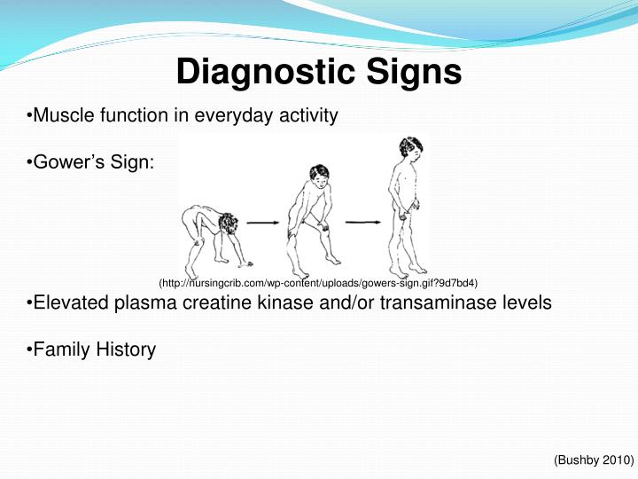 PPT - Duchenne Muscular Dystrophy PowerPoint Presentation - ID:3034228