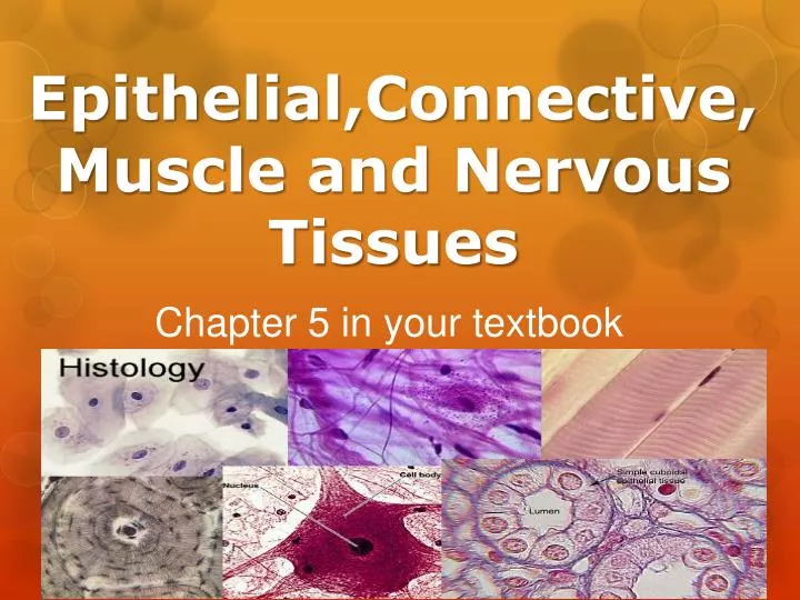 Unit I Histology I Nervous Epithelial Muscular