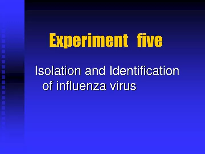 PPT - Experiment five PowerPoint Presentation, free download - ID:3034590