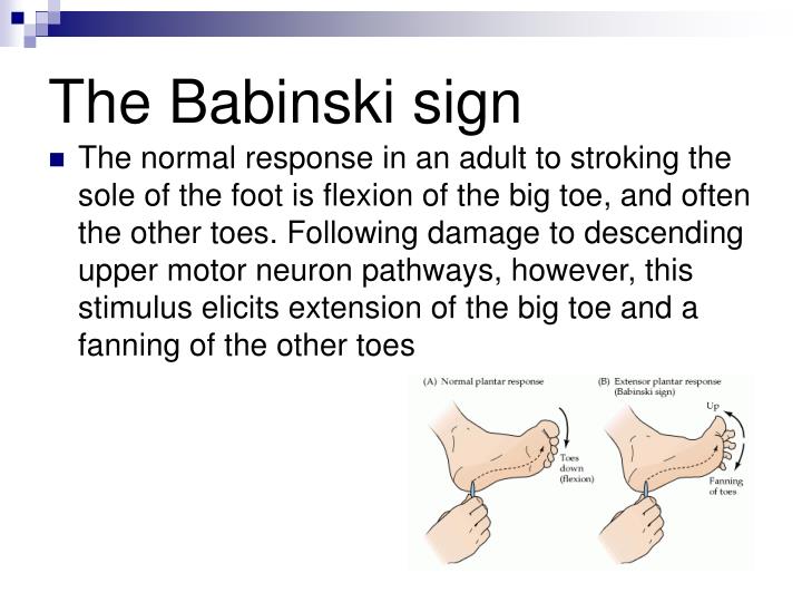 PPT - Pyramidal and Extrapyramidal disorders PowerPoint Presentation ...